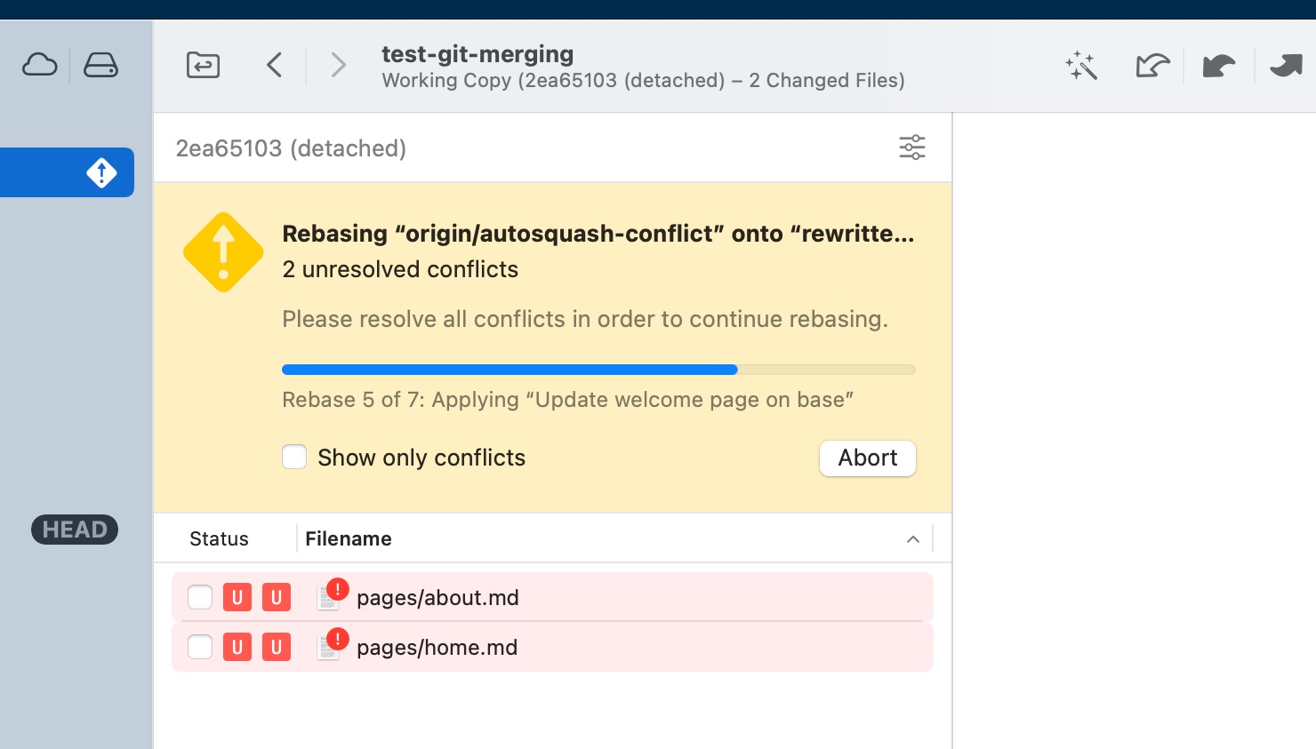 Release Notes | Tower Git Client