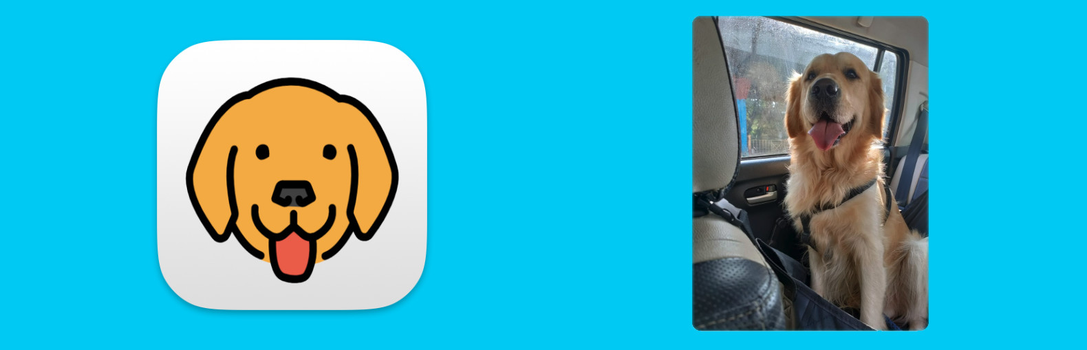 Bruno — An API Client Using Git to Fight for Developer Experience ...