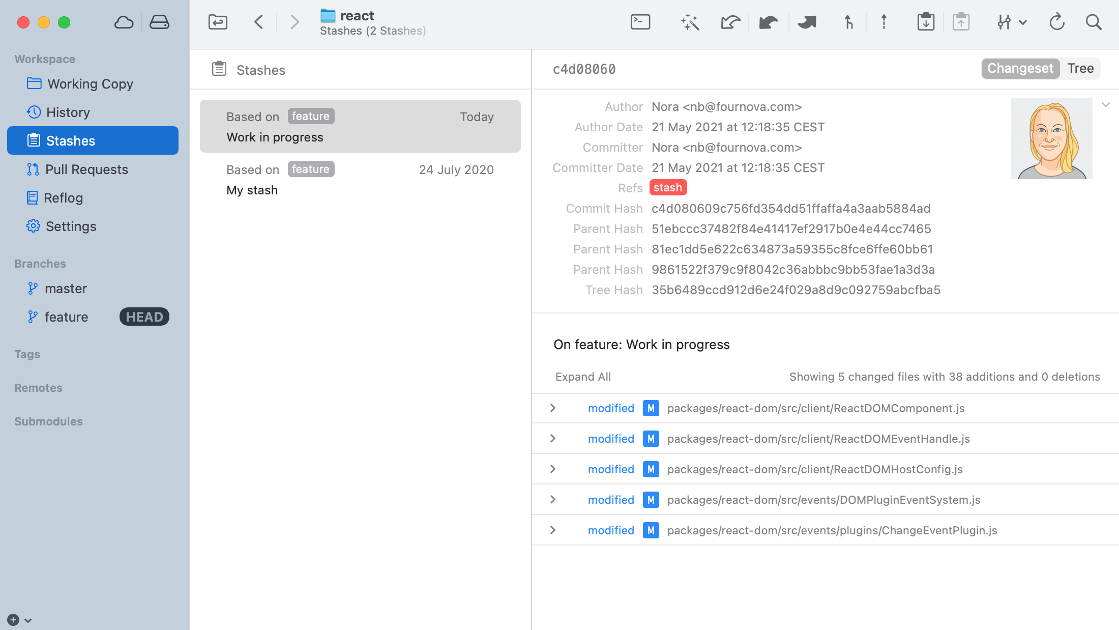 Stashes & Snapshots | Tower Help