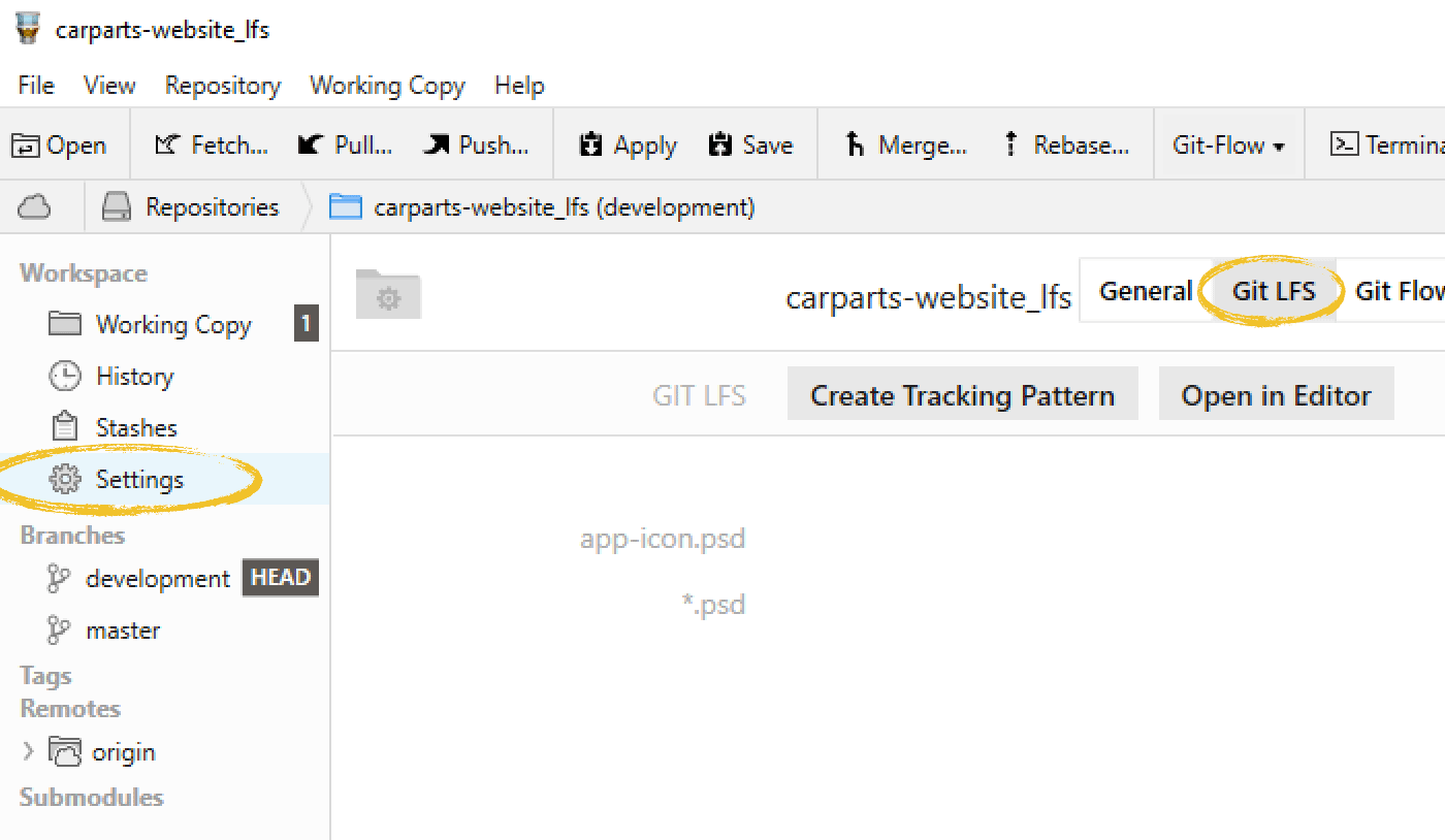 Handling Large Files with LFS | Learn Git Ebook (GUI Edition)