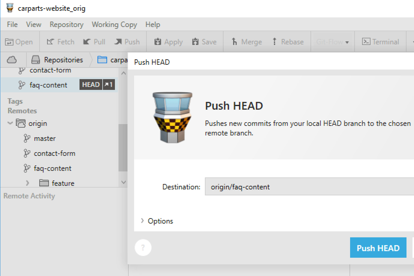 Inspecting Remote Data | Learn Git Ebook (GUI Edition)