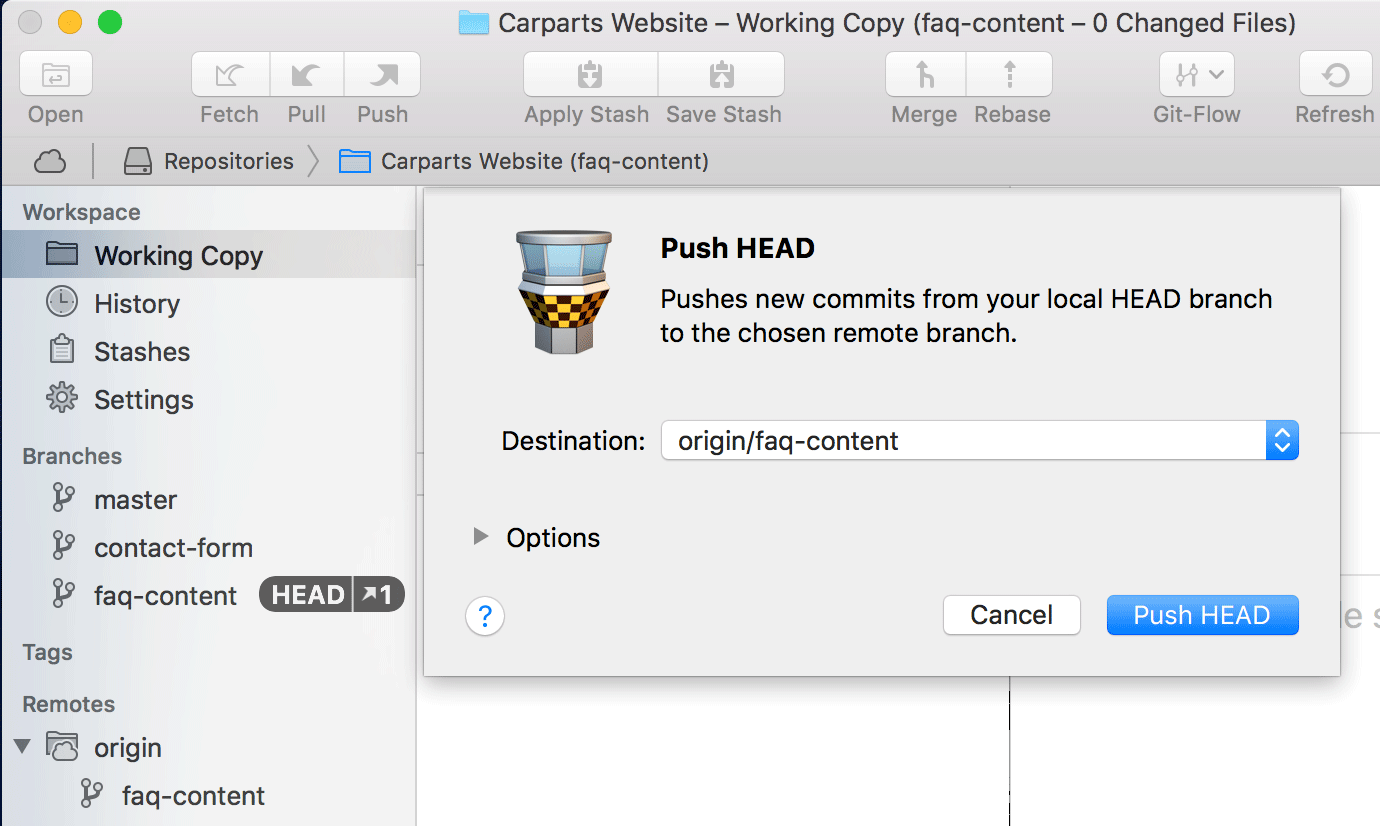 Inspecting Remote Data | Learn Git Ebook (GUI Edition)