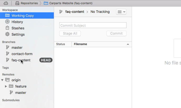 Publishing a Local Branch | Learn Git Ebook (GUI Edition)