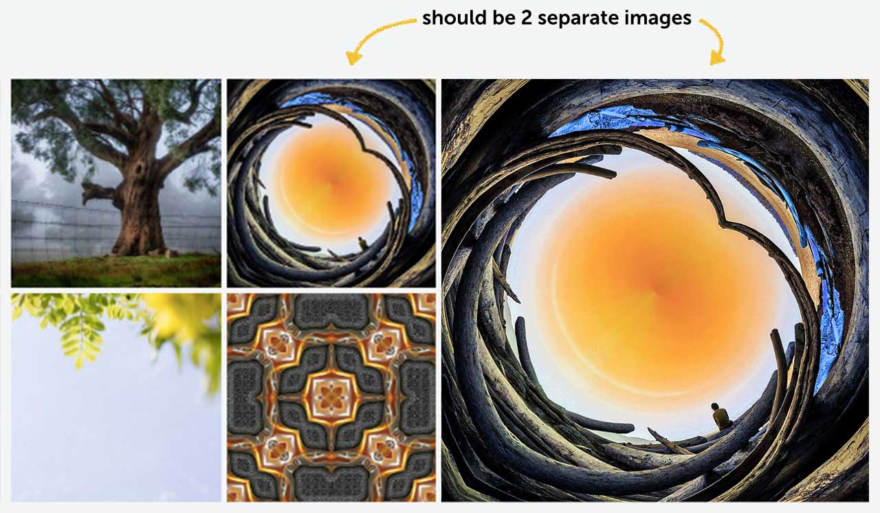 Working with Images | The Beginner's Guide to Faster Websites